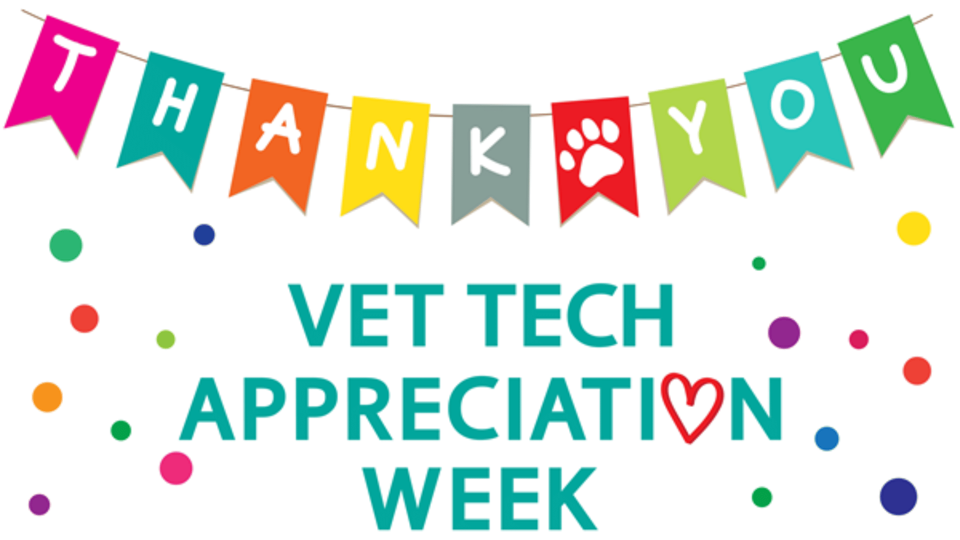 Celebrate National Veterinary Technician Week | Markham Road Animal ...